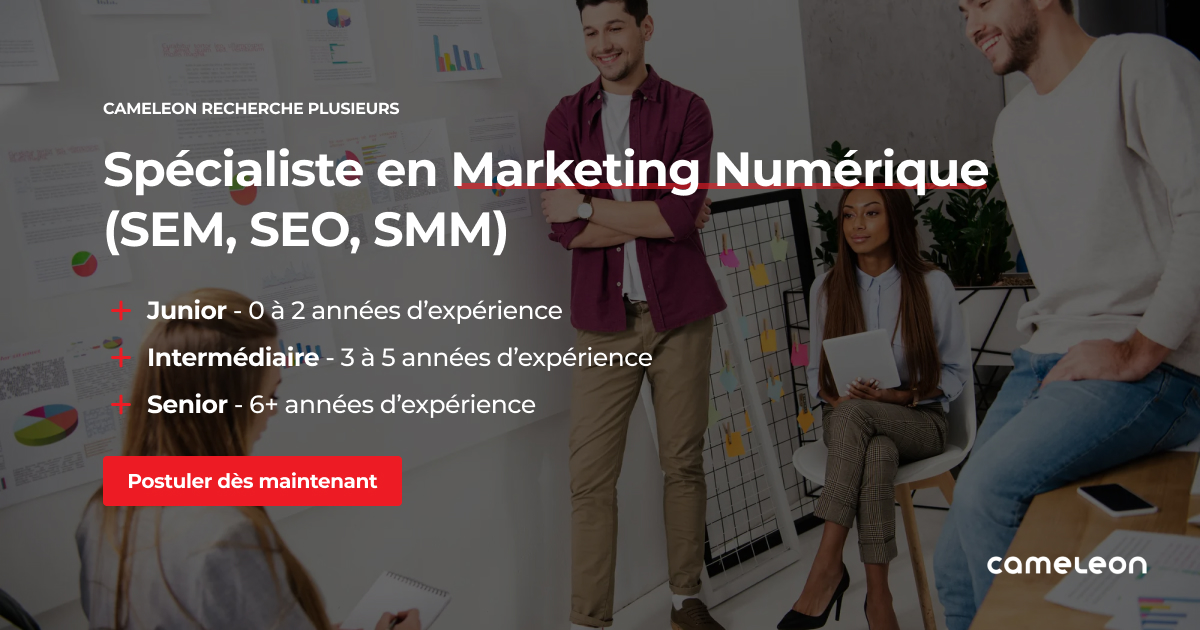 Spécialiste marketing numérique (SEM, SEO, SMM) - Junior à Senior